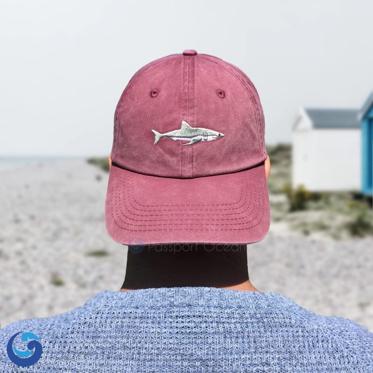 Shark Cap - Passport Ocean