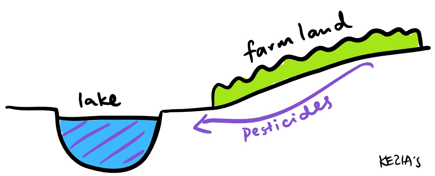 15 Effective Solutions to Water Pollution - Passport Ocean