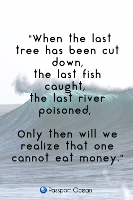 15 Quotes To Save The Ocean - Passport Ocean