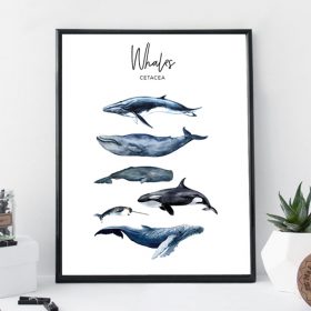 Whales Poster - Passport Ocean