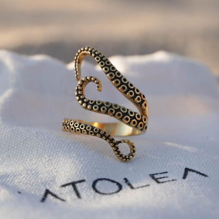 10 Amazing Facts about the Blue Ringed Octopus - Passport Ocean